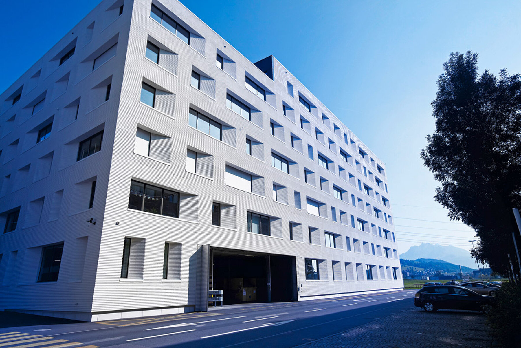 Geistlich China: 公司